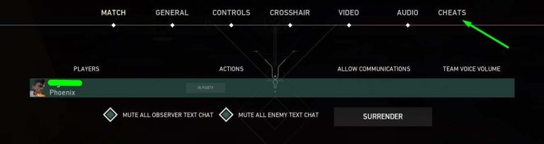 How to Use Cheats in Valorant Custom Game? | Theprofox